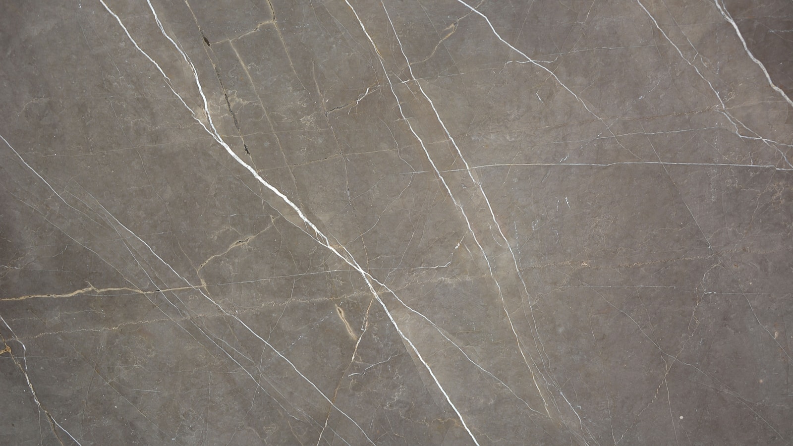 New York Stone | Gris Pulpis Marble, Marble from Spain